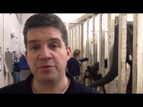 Brendan Wiley 1 - YouTube