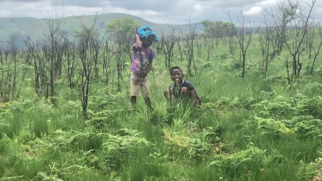 Teaching #umuthi (Uvelabehleke, umphenduli, isdikili, cimamlilo, impila ...