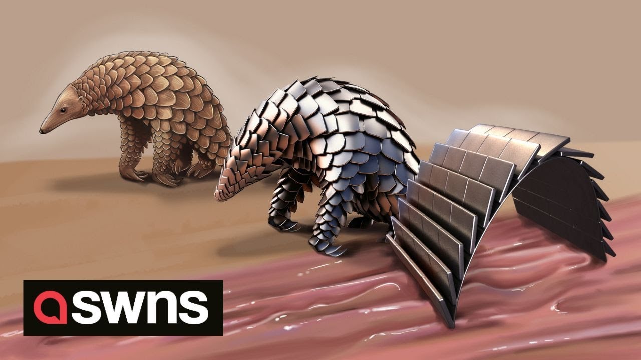 Discover the Incredible Pangolin-Inspired Medical Robot that Rolls ...