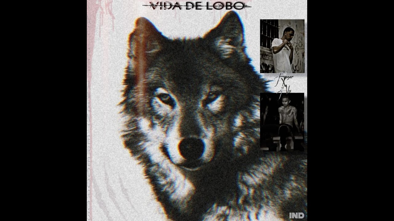 Abner - " Vida De Lobo " Feat. Alx - YouTube