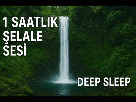 1 Saatlik Şelale Sesi | Derin Uyku, Meditasyon ve Rahatlama