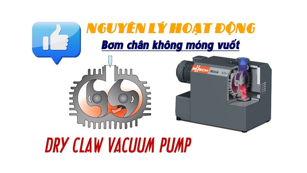 Nguyên lý hoạt động của bơm hút chân không khô dạng móng vuốt | Dry Claw Vacuum Pumps - YouTube
