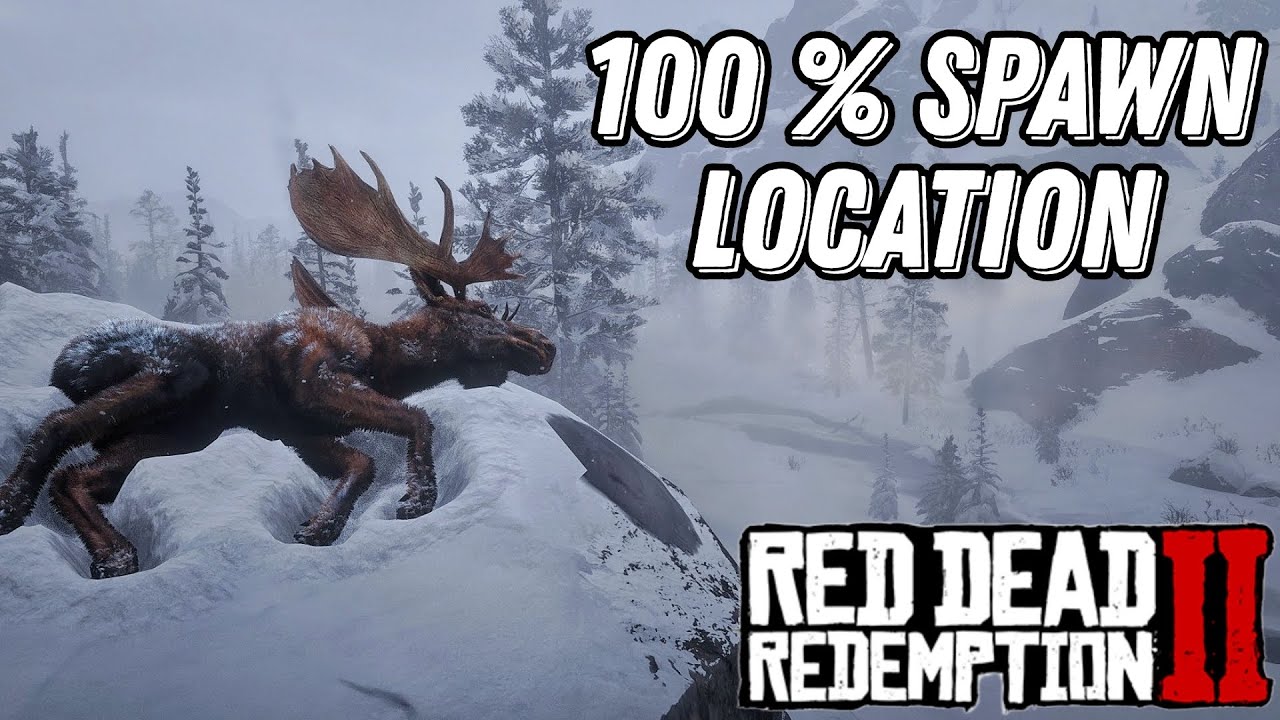 Где найти ЗАПАДНОГО ЛОСЯ в РДР2 (100% способ) RDR2 Western Bull Moose ...
