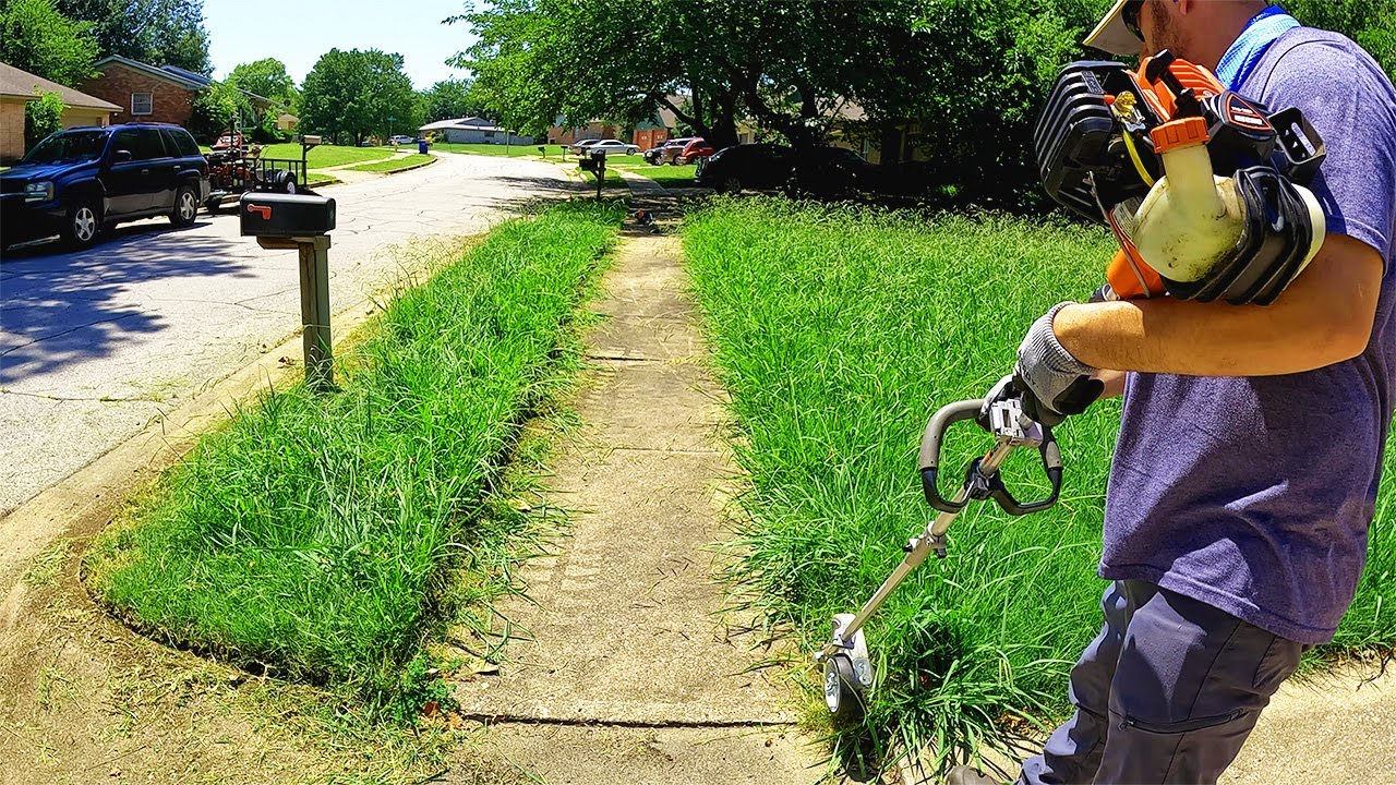 This Out of CONTROL EYESORE yard was LEFT NEGLECTED until WE ...