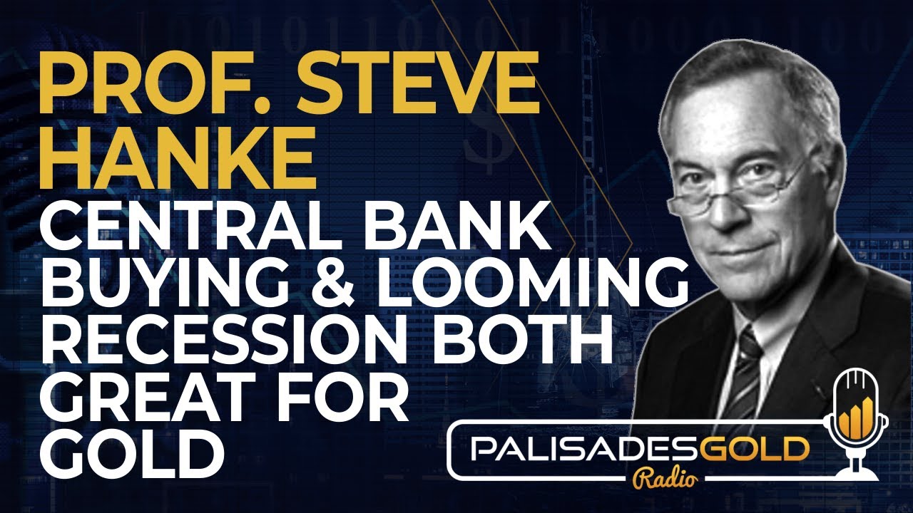 Prof. Steve Hanke: Central Bank Buying & Looming Recession Both Great ...