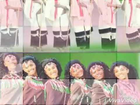Sirba Arsii bareeda - YouTube