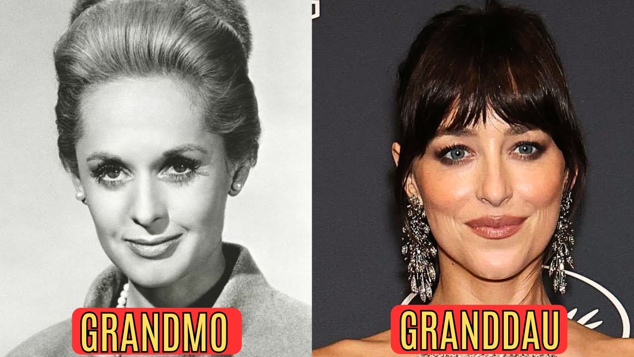25 Celebrity Grandkids Who Had Famous Grandparents | Hollywood ...
