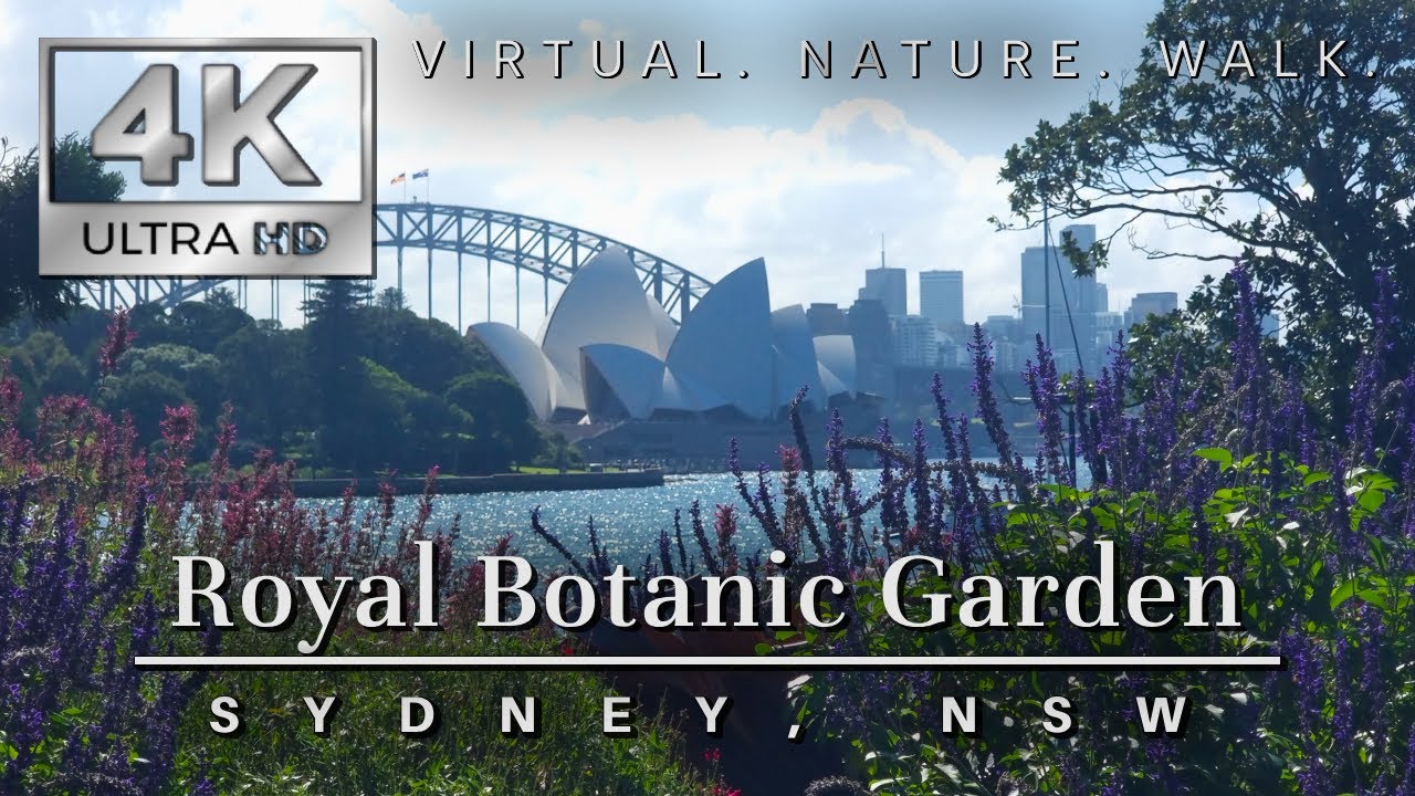 4K Virtual Nature Walk - Sydney Royal Botanic Garden - with Natural ...