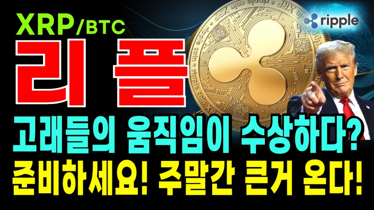리플 코인 전망 스테이블코인 출시 앞두고 고래들의 움직임이 달라졌다 주말간 난리난다 리플코인 Xrp 리플코인전망