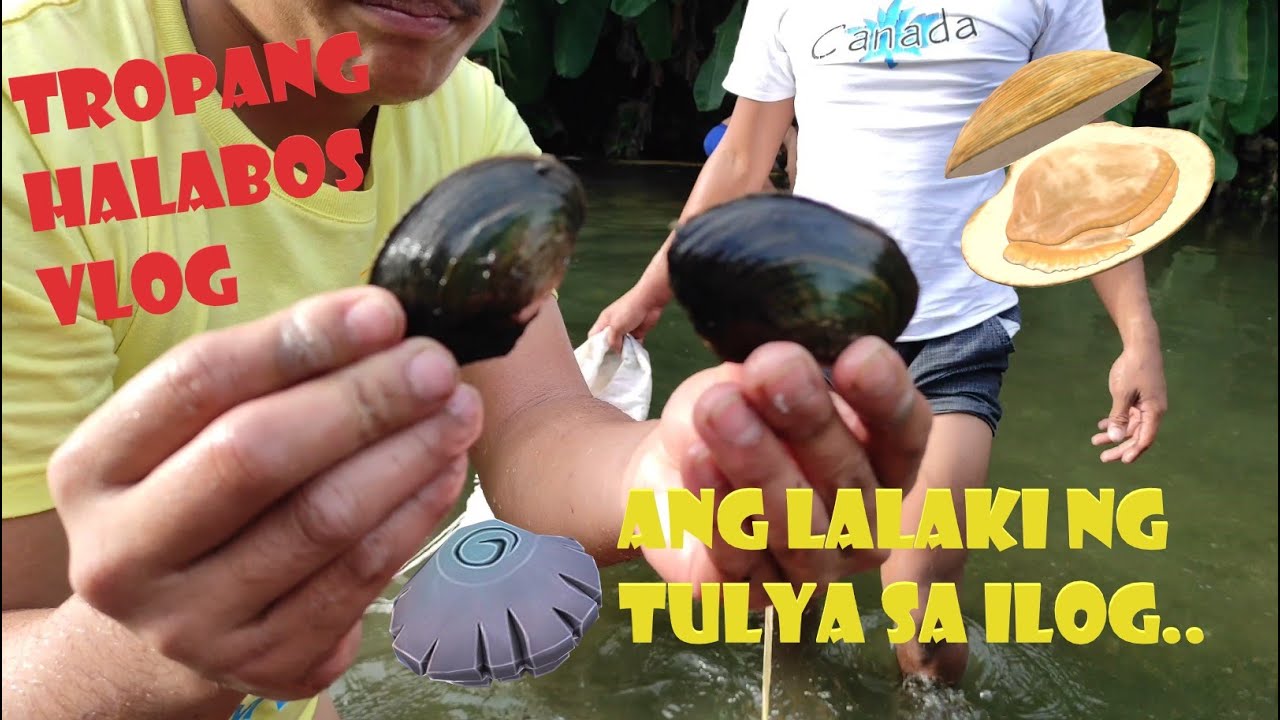 #EP03 Picking Clamshell in the River l Pangunguha ng Tulya sa Ilog ng ...