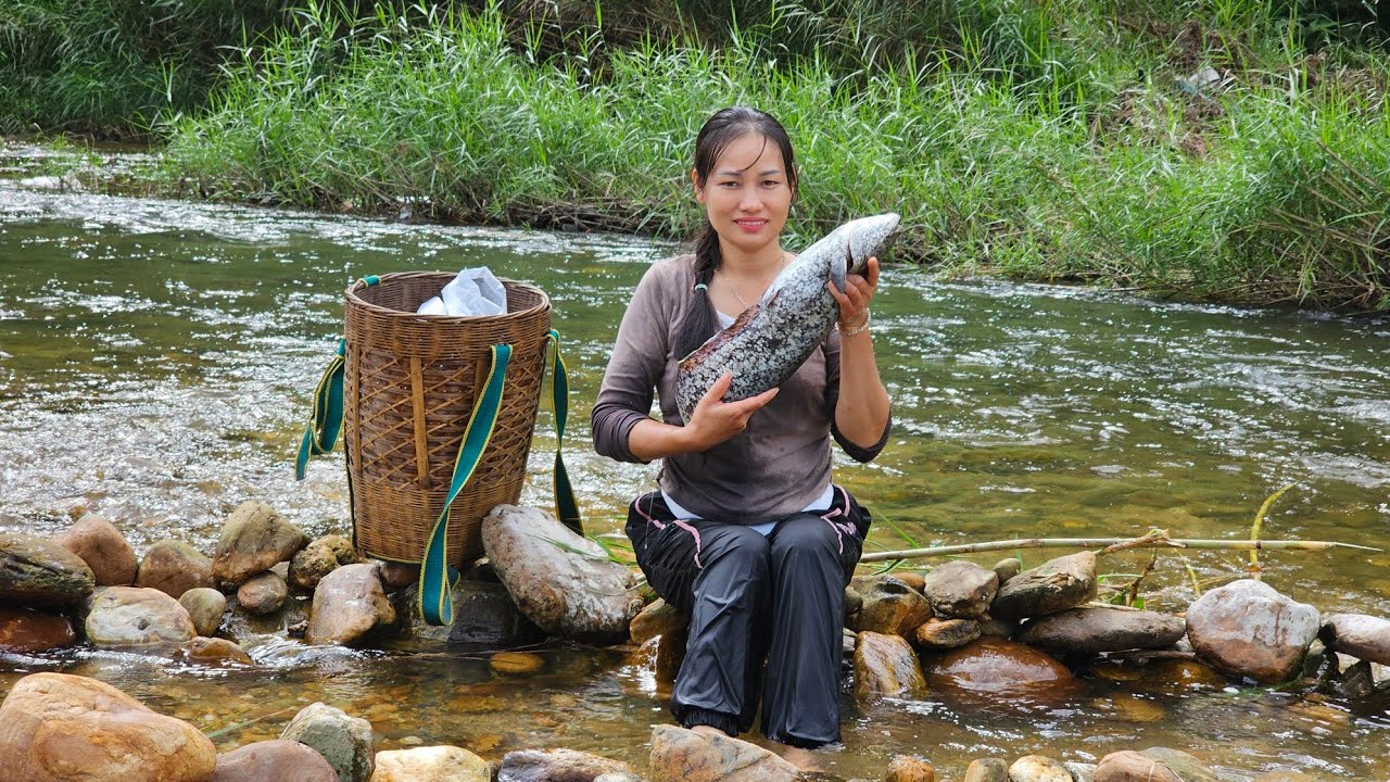 Building a Rock Spiral Fish Trap & Cooking a Fresh Catch for My Little ...