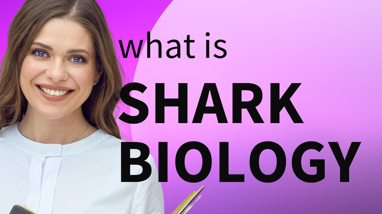 Understanding Shark Biology: A Dive into the Deep - YouTube
