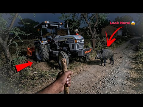 Scary Night in Farm 😱 Animals Ruined Crop | Tractor Field Ploughing 🚜 Farming Vlog
