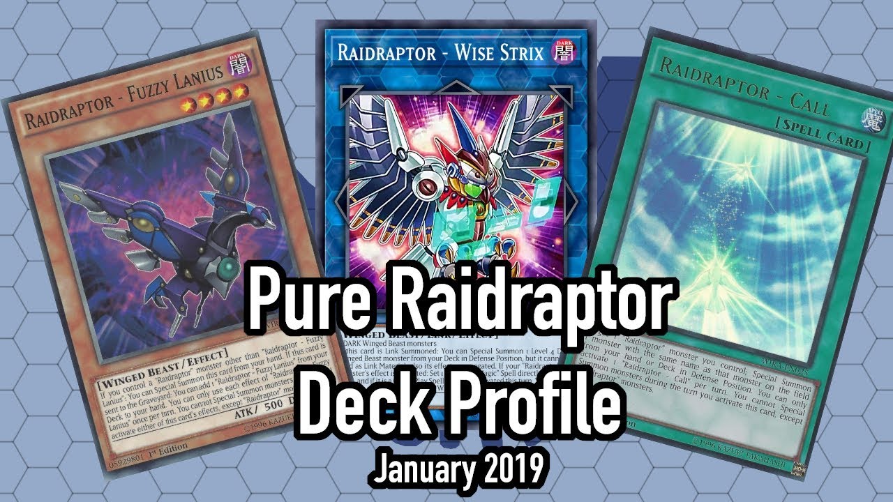 Raidraptor Deck Profile January 2019 (with Wise Strix) - YouTube