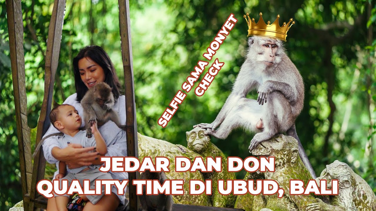 DON PERTAMA KALI LIHAT MONYET, PENGEN PEGANG TAPI MALAH DI NAIKIN - YouTube