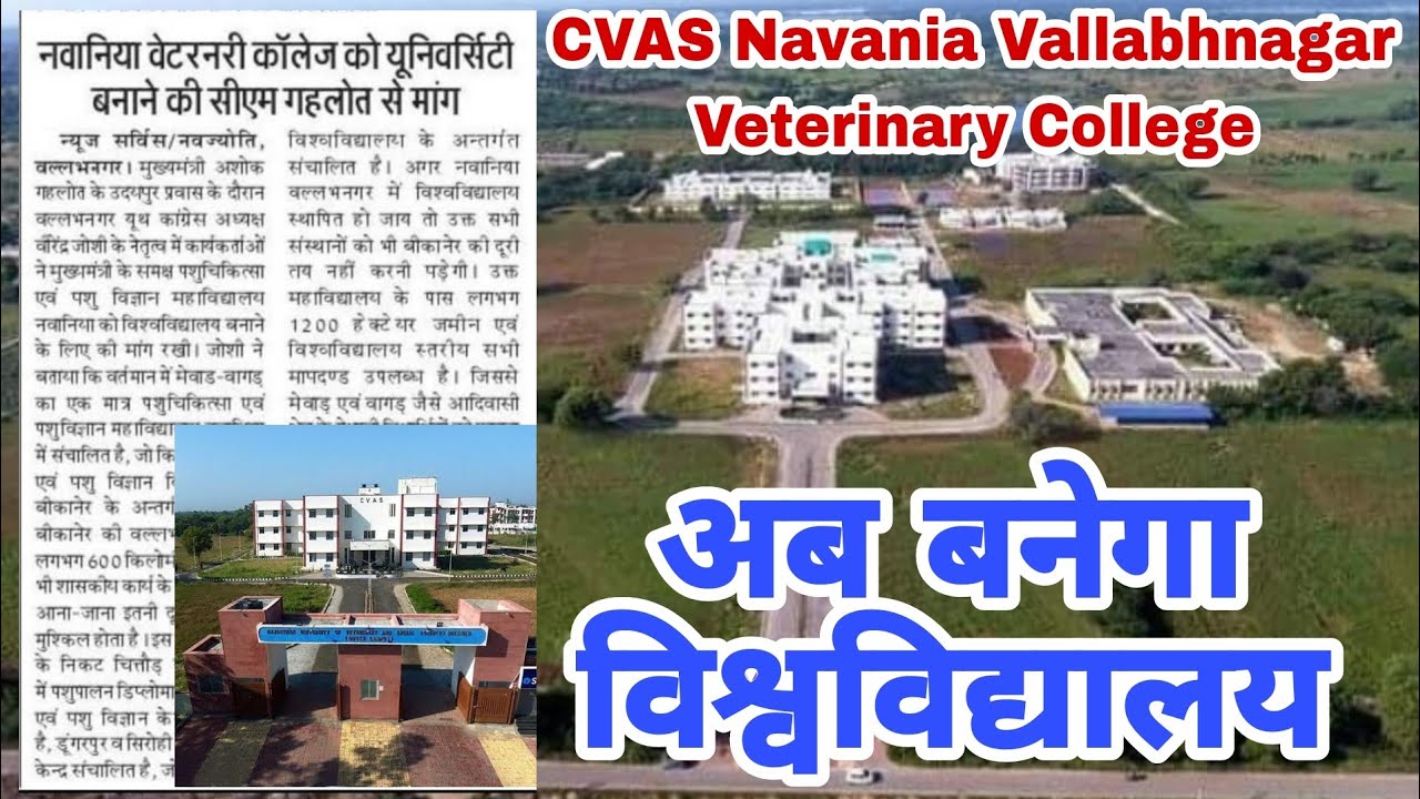 अब विश्वविद्यालय बनेगा CVAS Navania Vallabhnagar Veterinary College ...