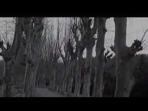 Selva Erdener - Sabahın seherinde - Klip