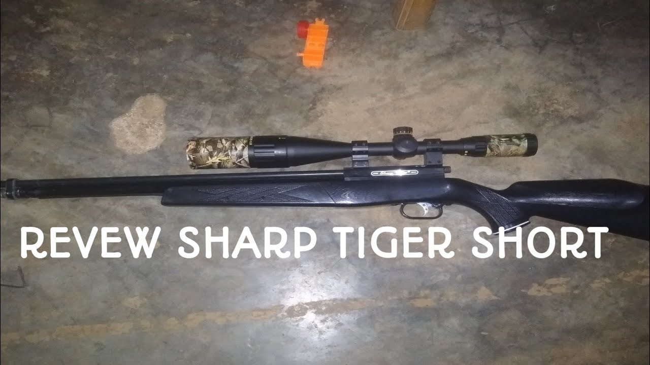Revew sharp tiger short - YouTube