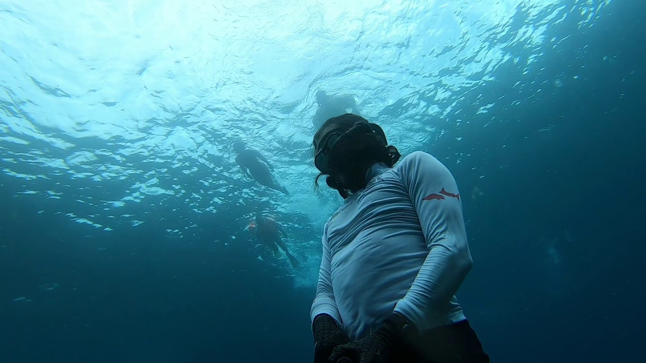 Gili Air - Freediving with sea turtles - YouTube