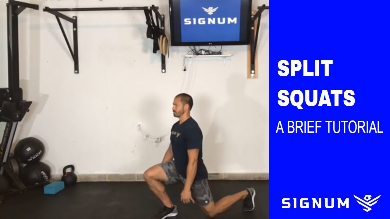 Split Squats | A Tutorial - YouTube