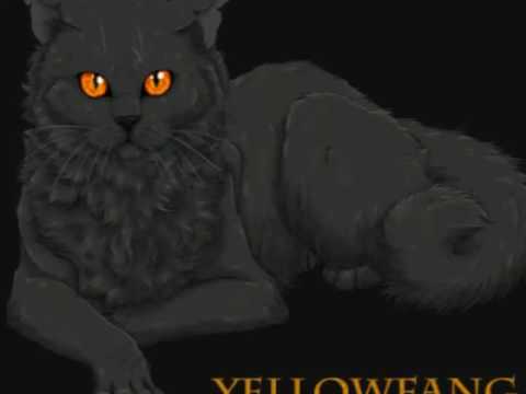 Yellowfang warrior cats - YouTube