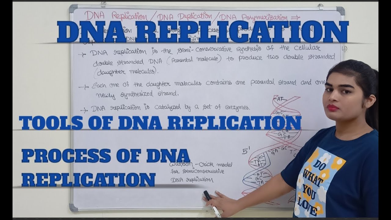 DNA Replication/ DNA polymerisation/ DNA Duplication/ Tools and Process of DNA Replication ...