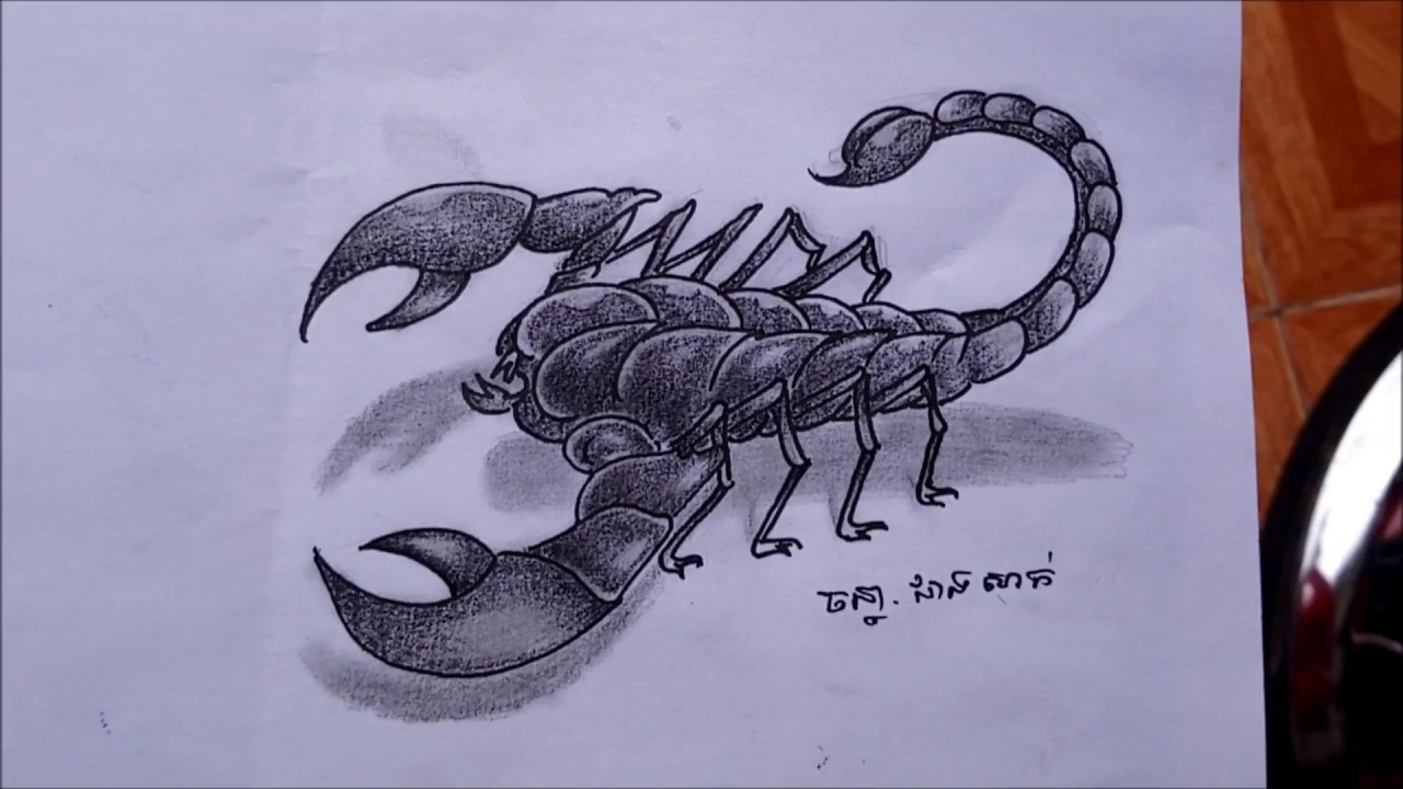 how to drawing art- drawing 3d scorpian tattoo-drawing scorpian 3d ...