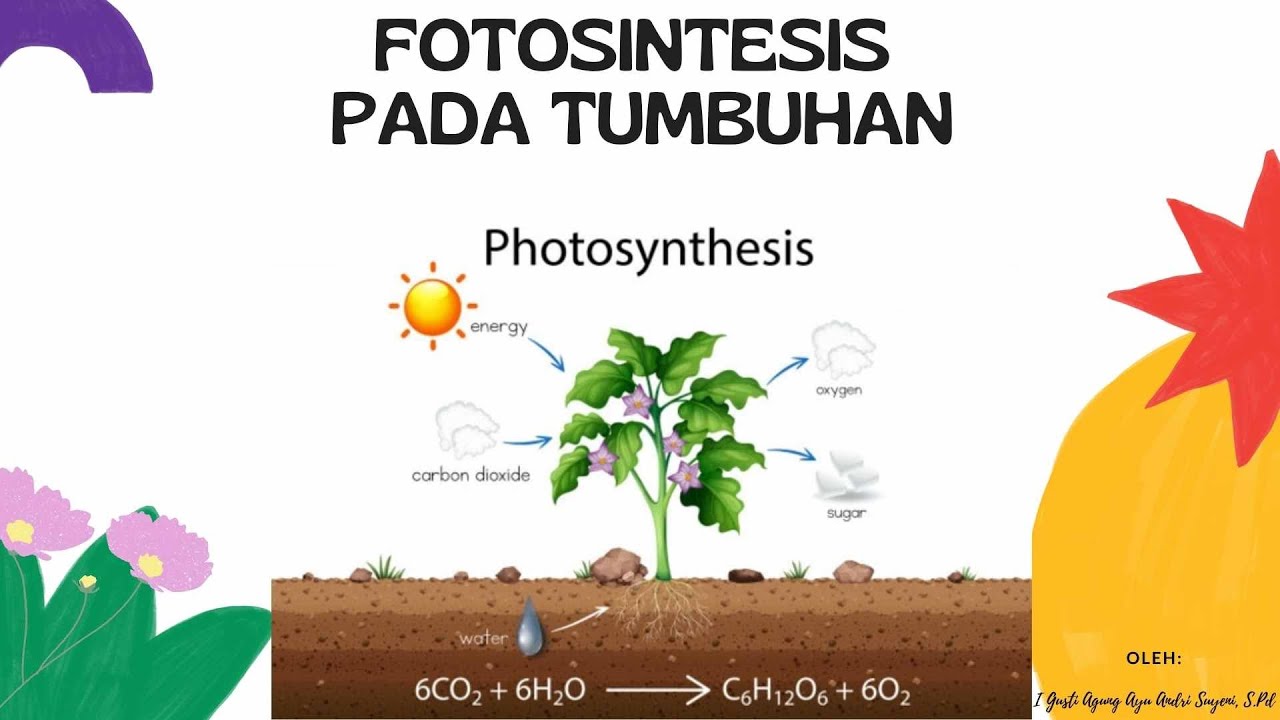 Proses Fotosintesis || Media Pembelajaran - YouTube