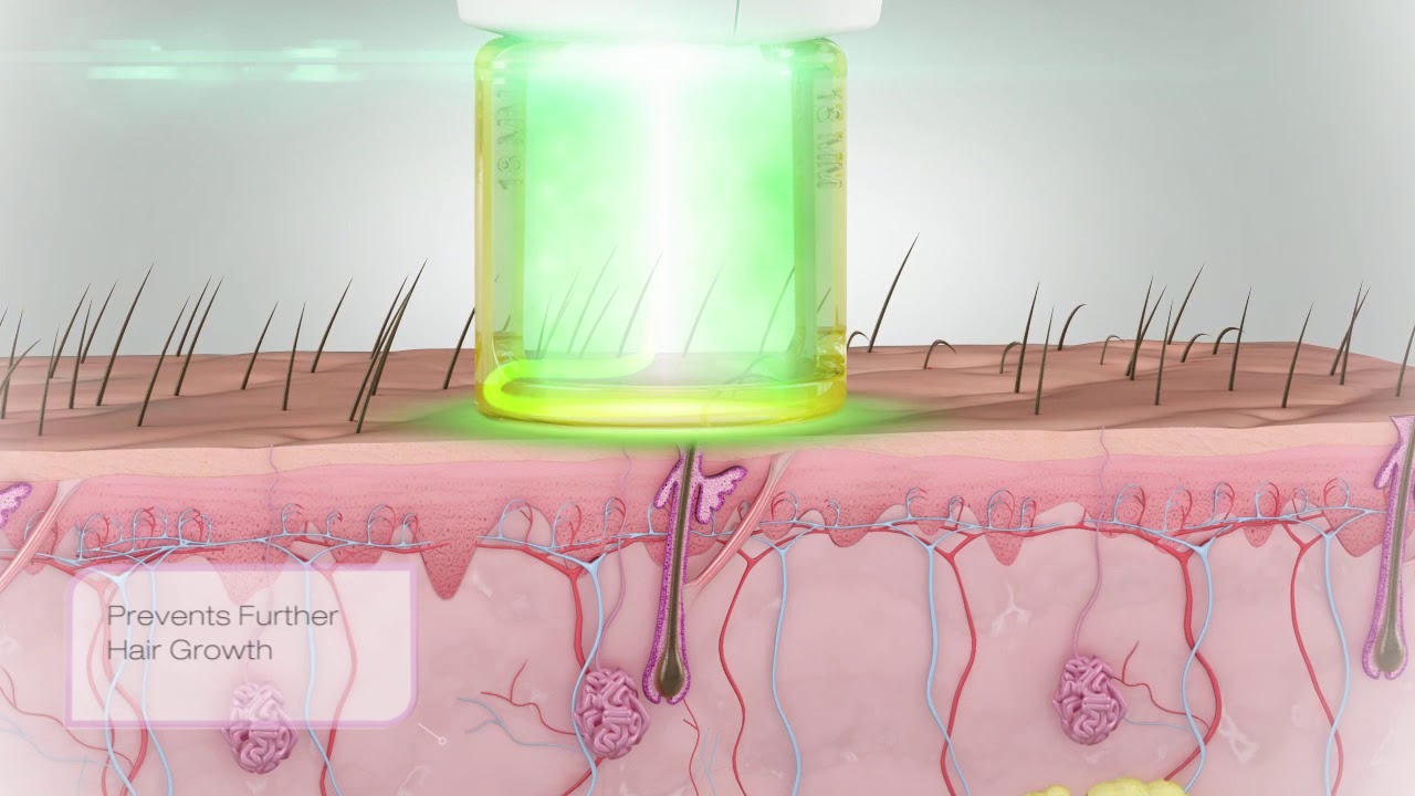 Gentle biological animation - YouTube