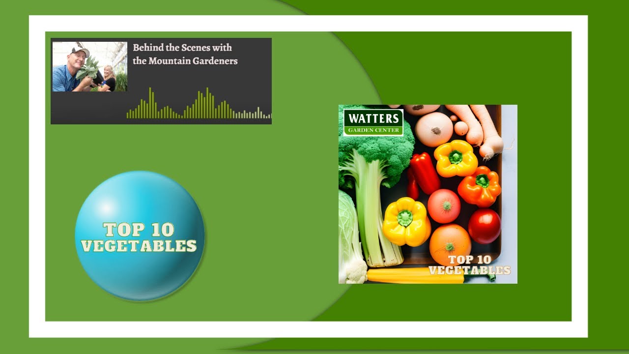 How to Grow the Top 10 Vegetables for an Increased Harvest - YouTube