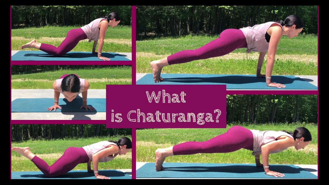 Yoga workshop - What is chaturanga dandasana - (high to low plank ...