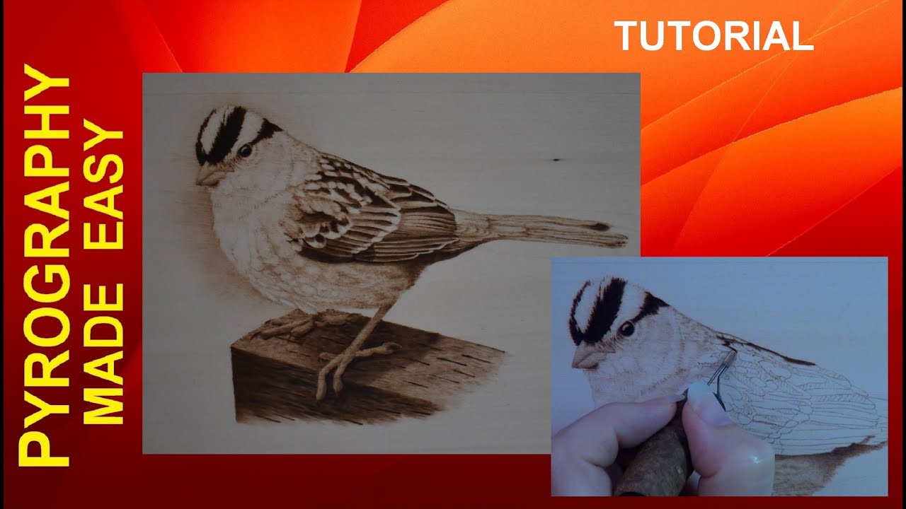 Wood Burning - White Crowned Sparrow Bird - pyrography tutorial - YouTube