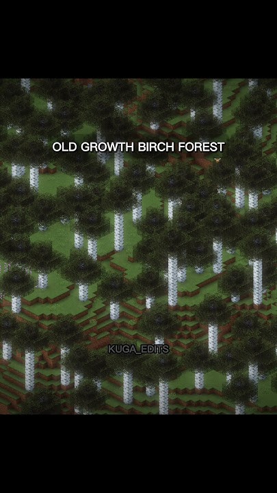 Minecraft biomes part 3 - woodland biomes #minecraft #minecraftbiomes - YouTube