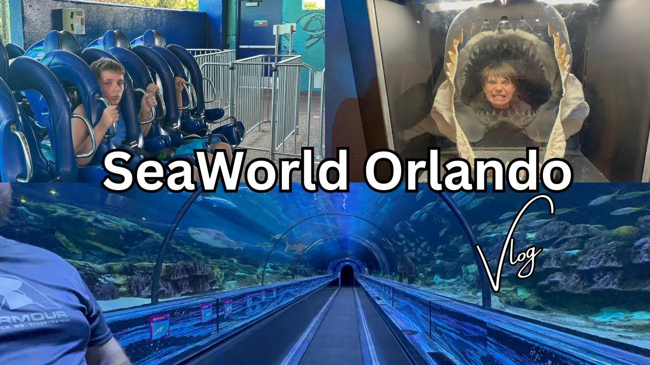 Our Fun-Filled Day at SeaWorld Orlando | Family Vlog & Tour of the Park ...