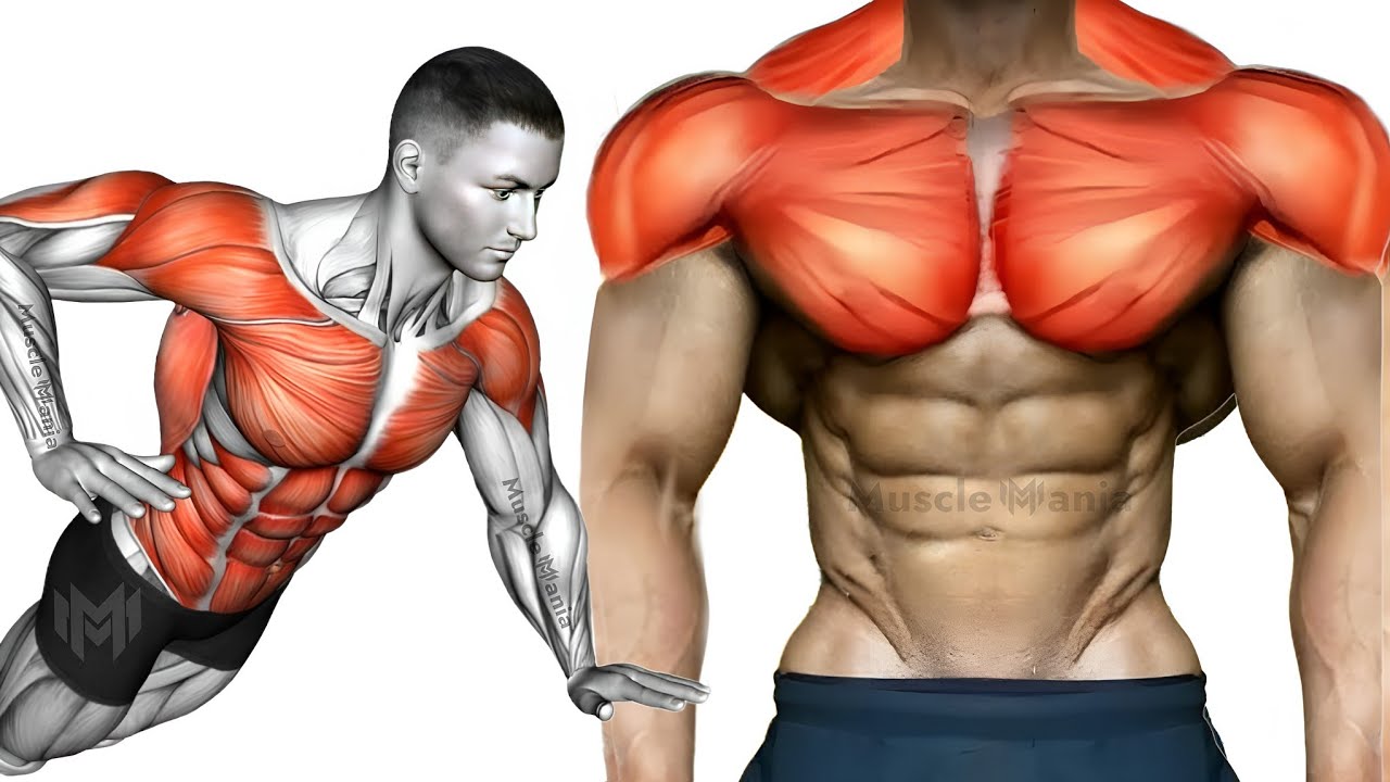 Push ups exercises 💢Targets: Chest, arms, shoulders, core - YouTube