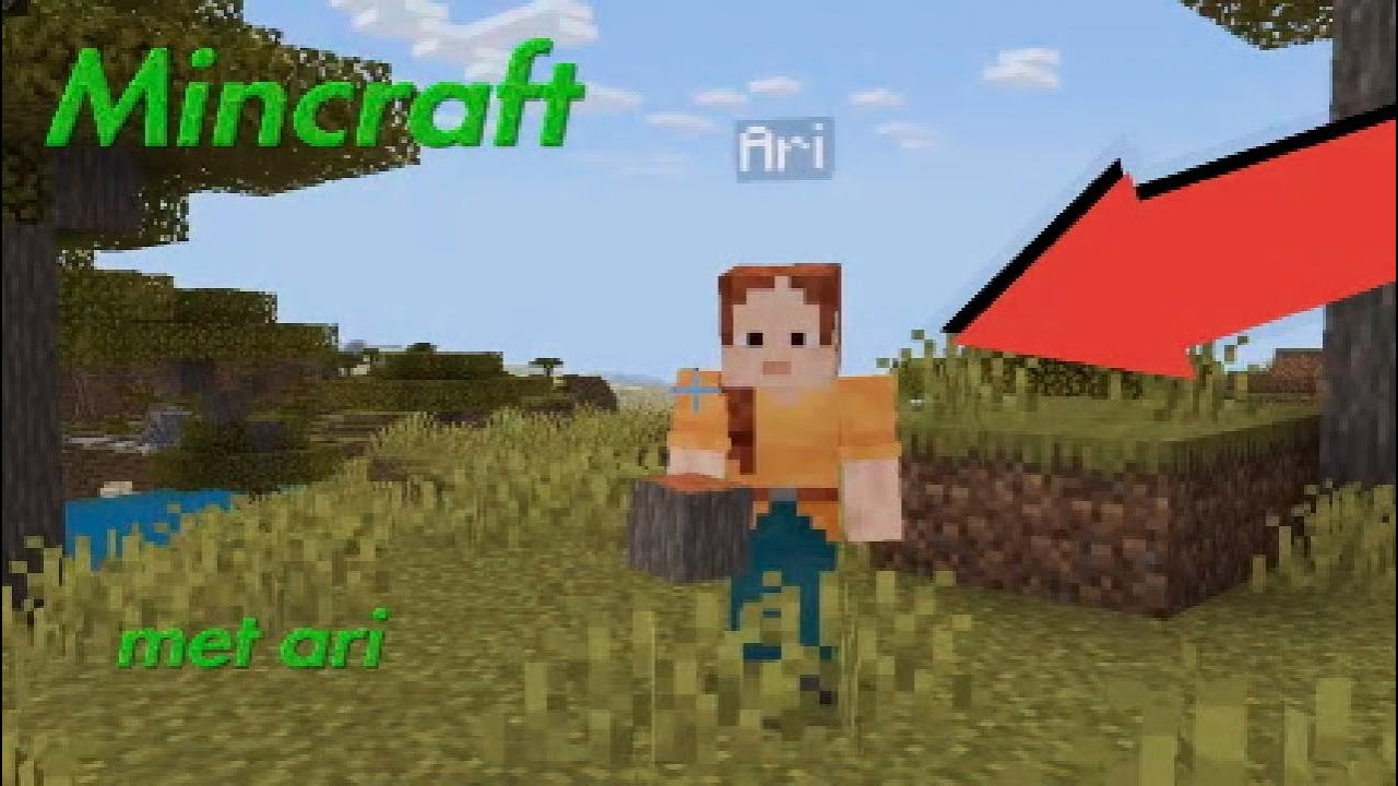 Mincraft met ari - YouTube