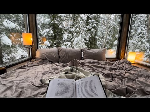 Экскурсия по Dzen forest. Локация - YouTube