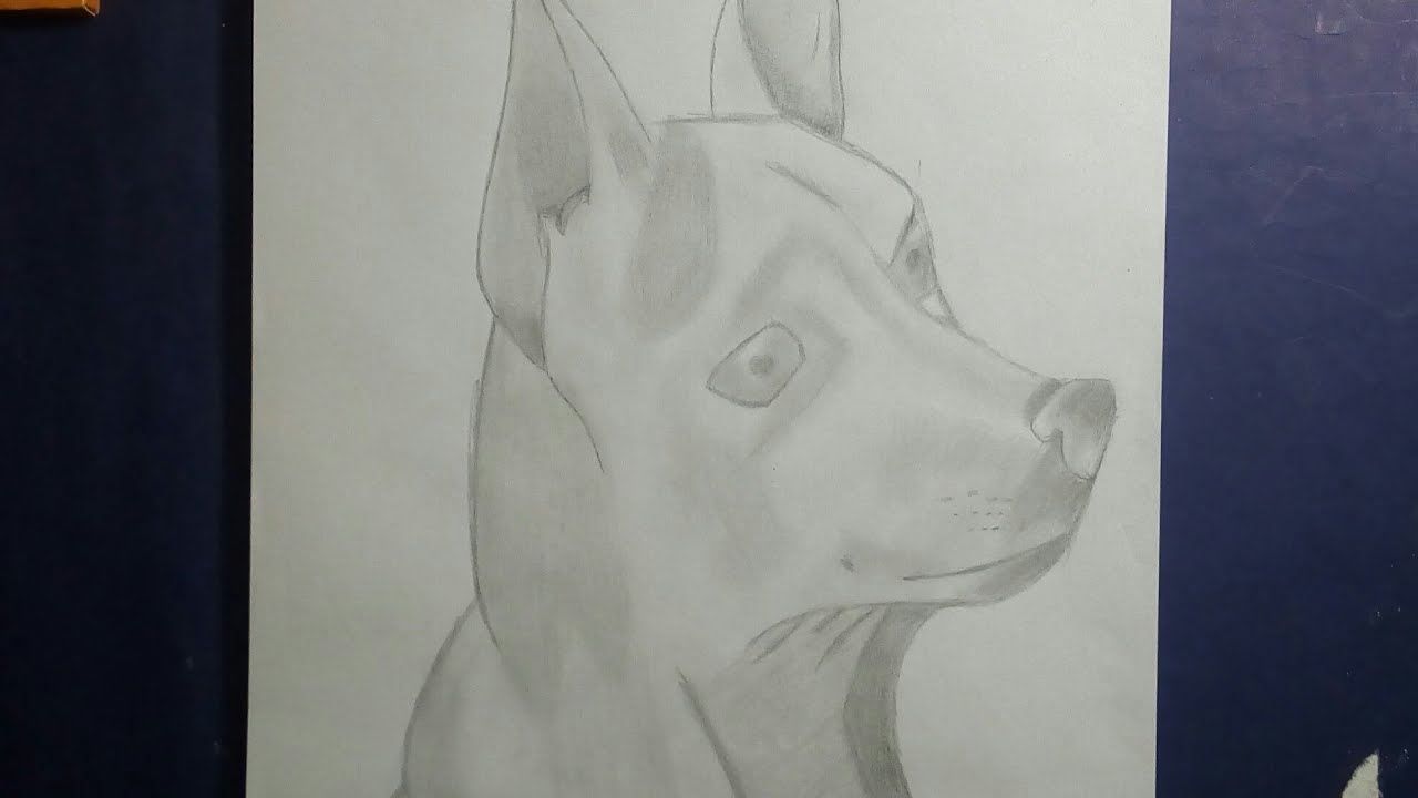 Como dibujar un perro realista/how to draw a realistic dog. - YouTube