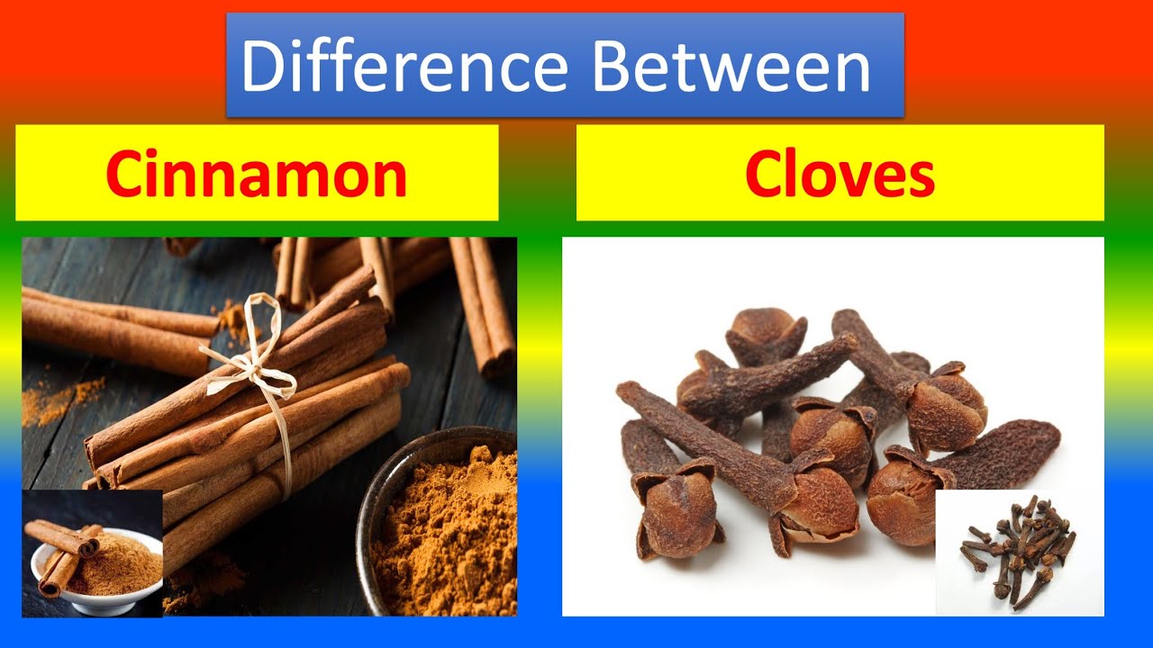 Differences Between Medical And Health Benefits Of Cinnamon and Cloves ...