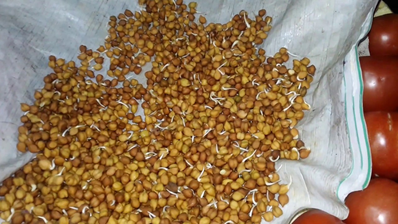 Indian Best Spicy Street food Chana Chaat - Indian street food Kolkata ...