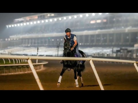 EXTRAVAGANT KID PREPARES FOR BREEDERS' CUP - YouTube