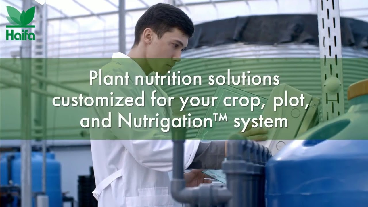 Haifa NutriNet™ Plant Nutrition Expert System - YouTube