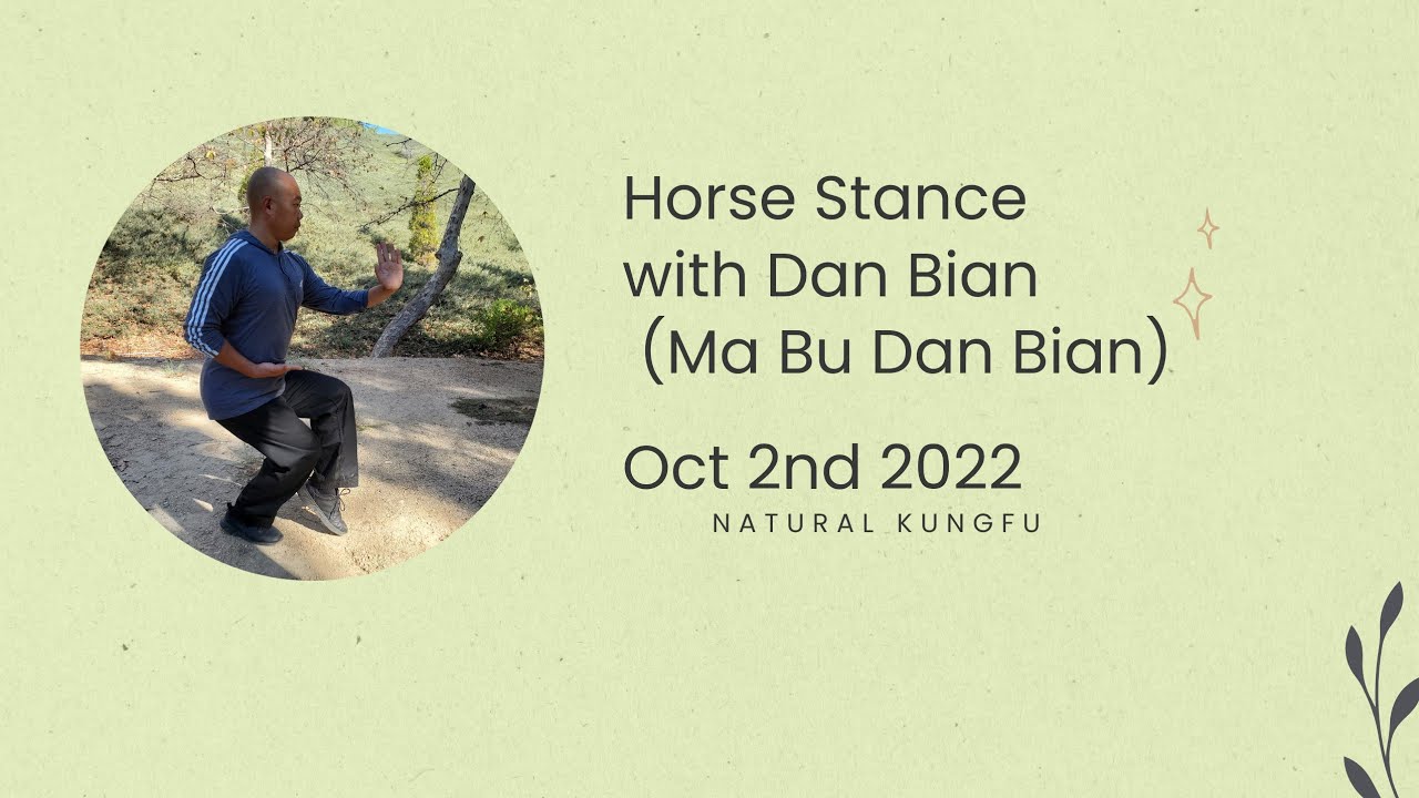 Oct 2nd 2022,LuoHan ShiBa Shou |QiGong |Horse stance with DanBian ,Ma ...