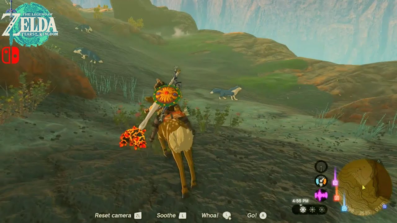 Legend of Zelda TOTK - Riding a Deer! Side Quests The Hidden Treasure ...