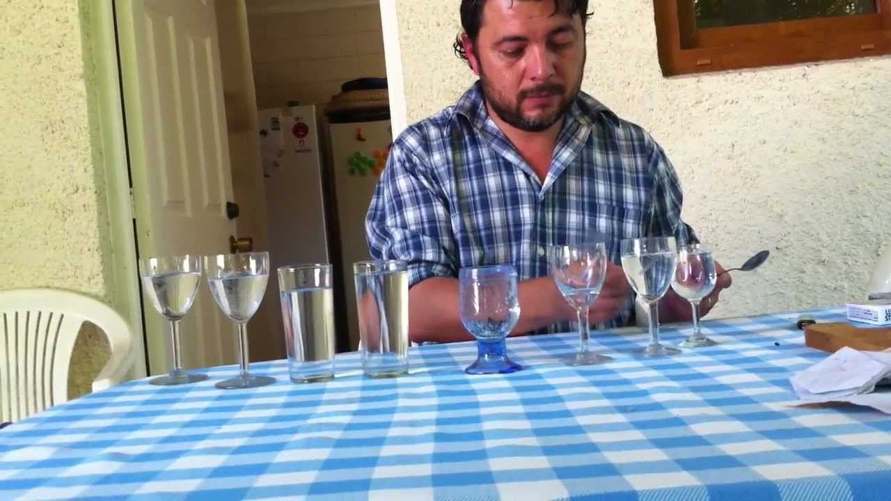 copas musicales de tato y flopita - YouTube