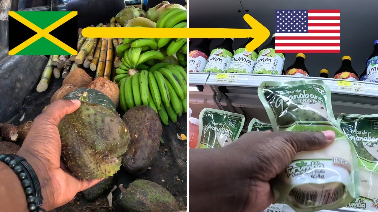 Why Soursop (Korosol) In the US is Nearly Impossible to find | EPS 1 ...