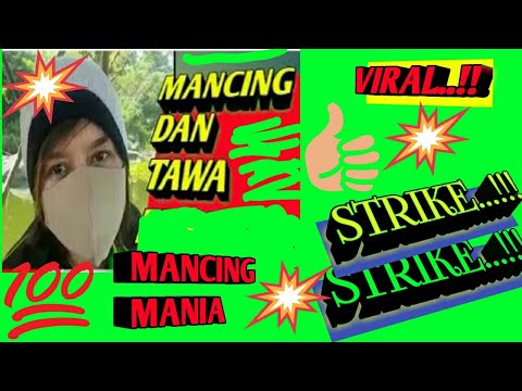 PEMANCING CANTIK PENUH CANDA,PENUH TAWA