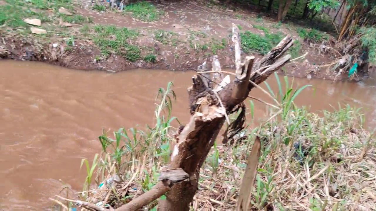 Michuki Park 3 - YouTube