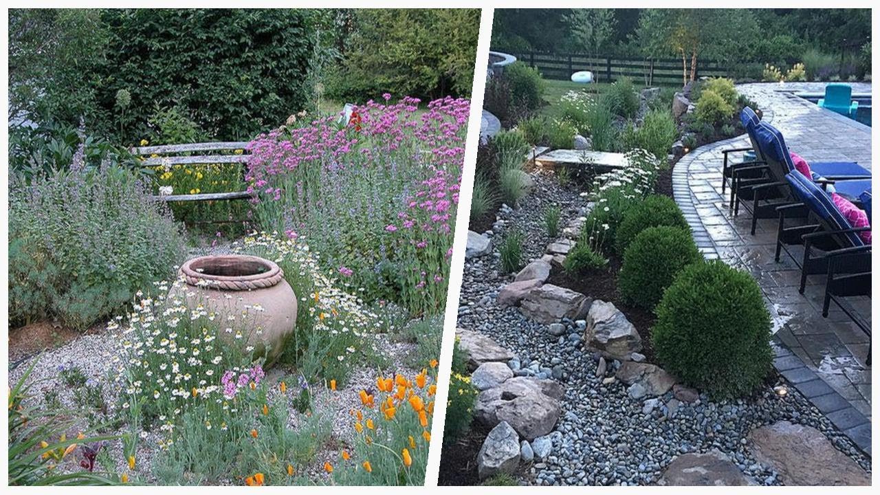 75 Turquoise Full Sun Landscaping Design Ideas You'll Love ⭐️ - YouTube