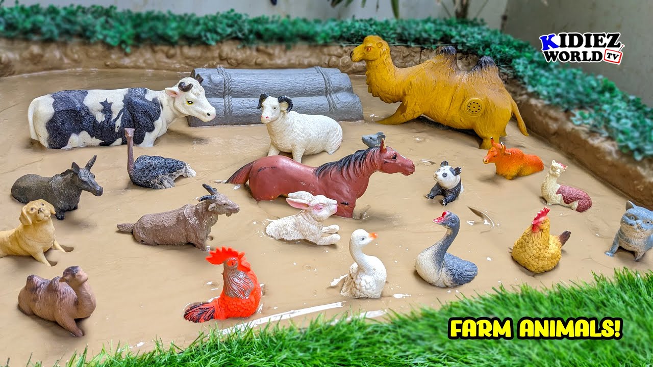 Farm Animals Like You've NEVER Seen Before! - YouTube